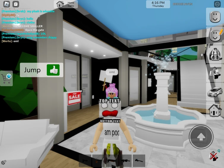 brookhaven… with whyreadthis and carl taco | Fandom