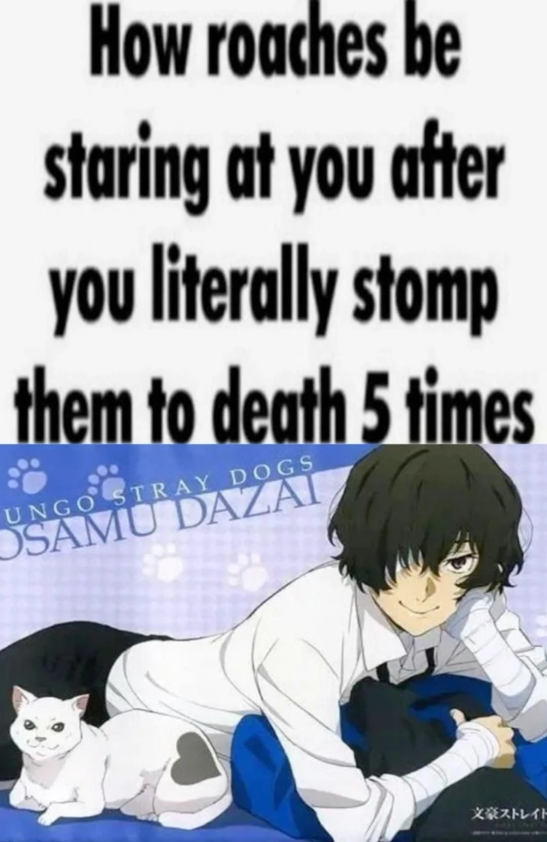 memes pt21 and 22 | Fandom