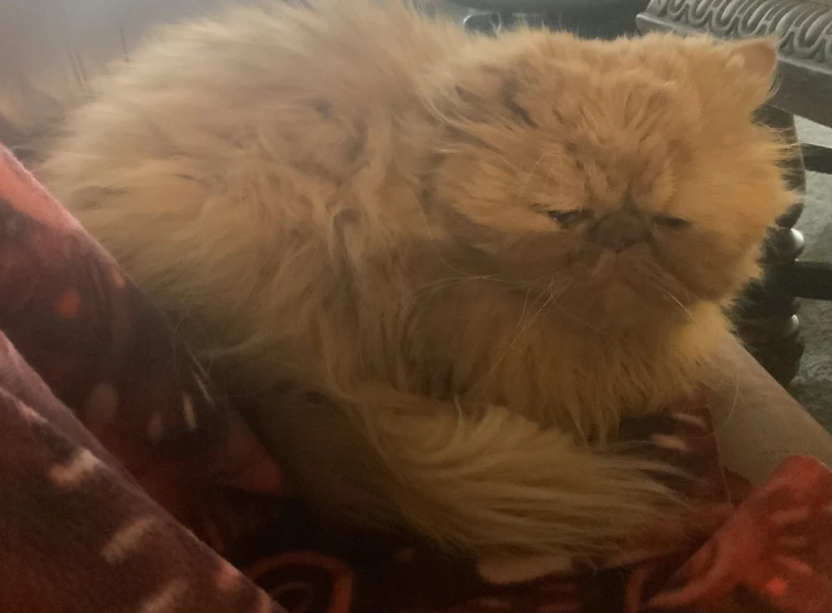 George boy looking so sad | Fandom