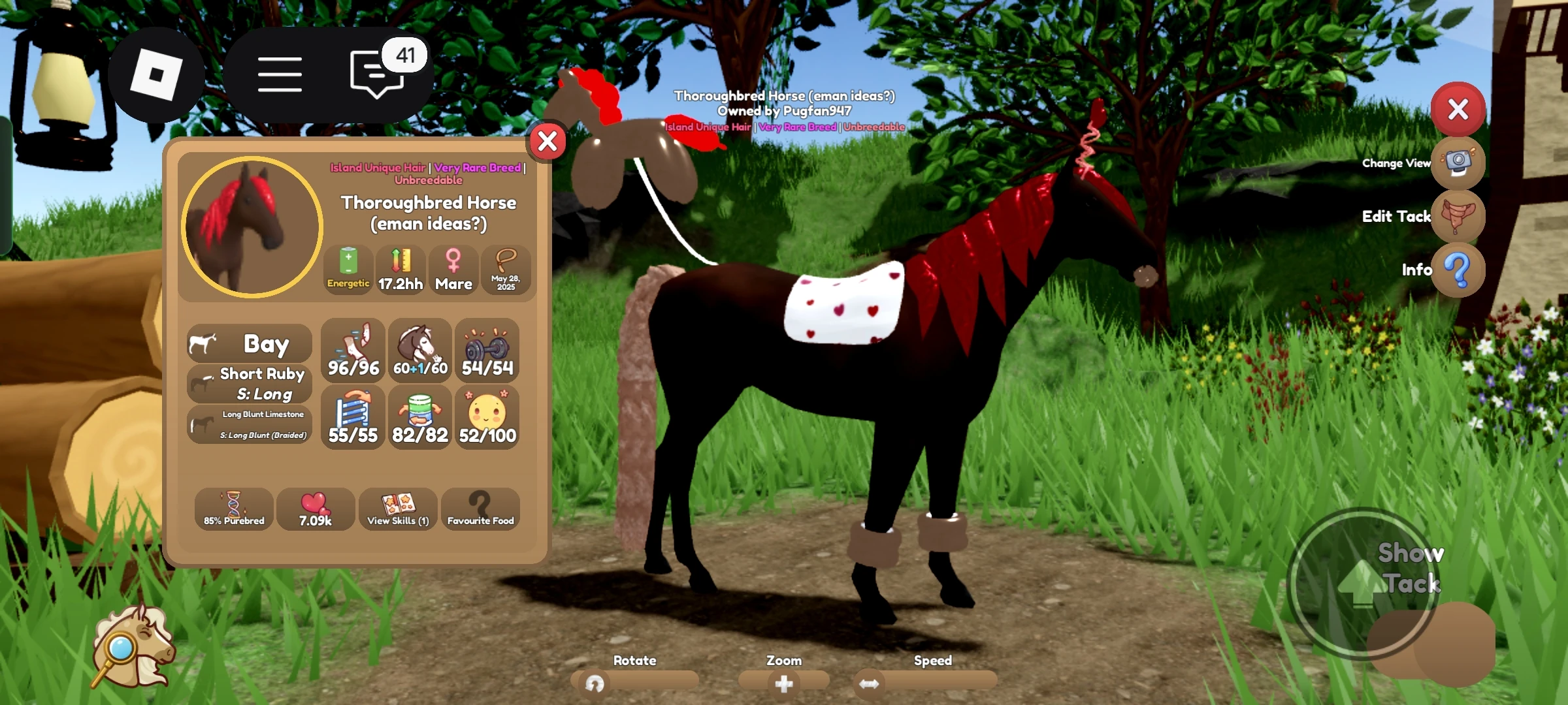 Name ideas? | Fandom