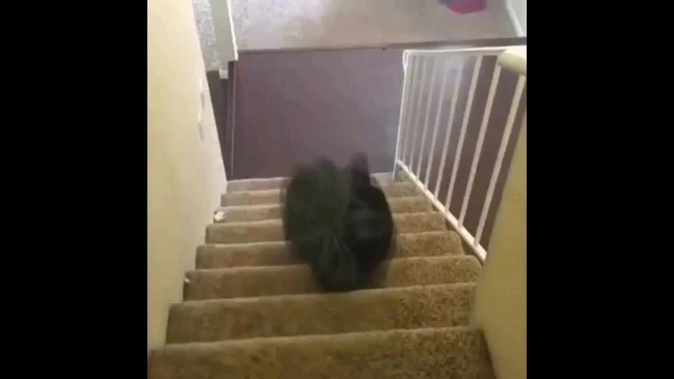 All Monster RP (Day 74) | Fandom