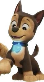 Chase and his lighten up collar in no background | Fandom