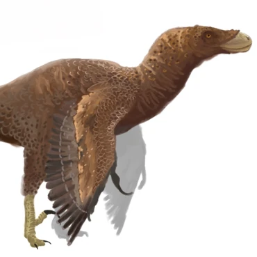 Discuss Everything About Dinopedia | Fandom