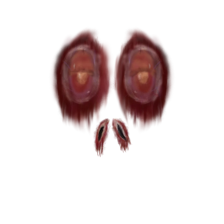 Meat eyes nose and mouth | Fandom