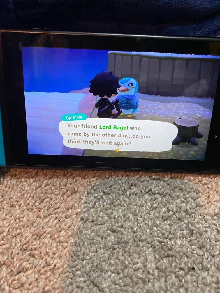 Discuss Everything About Animal Crossing Wiki | Fandom