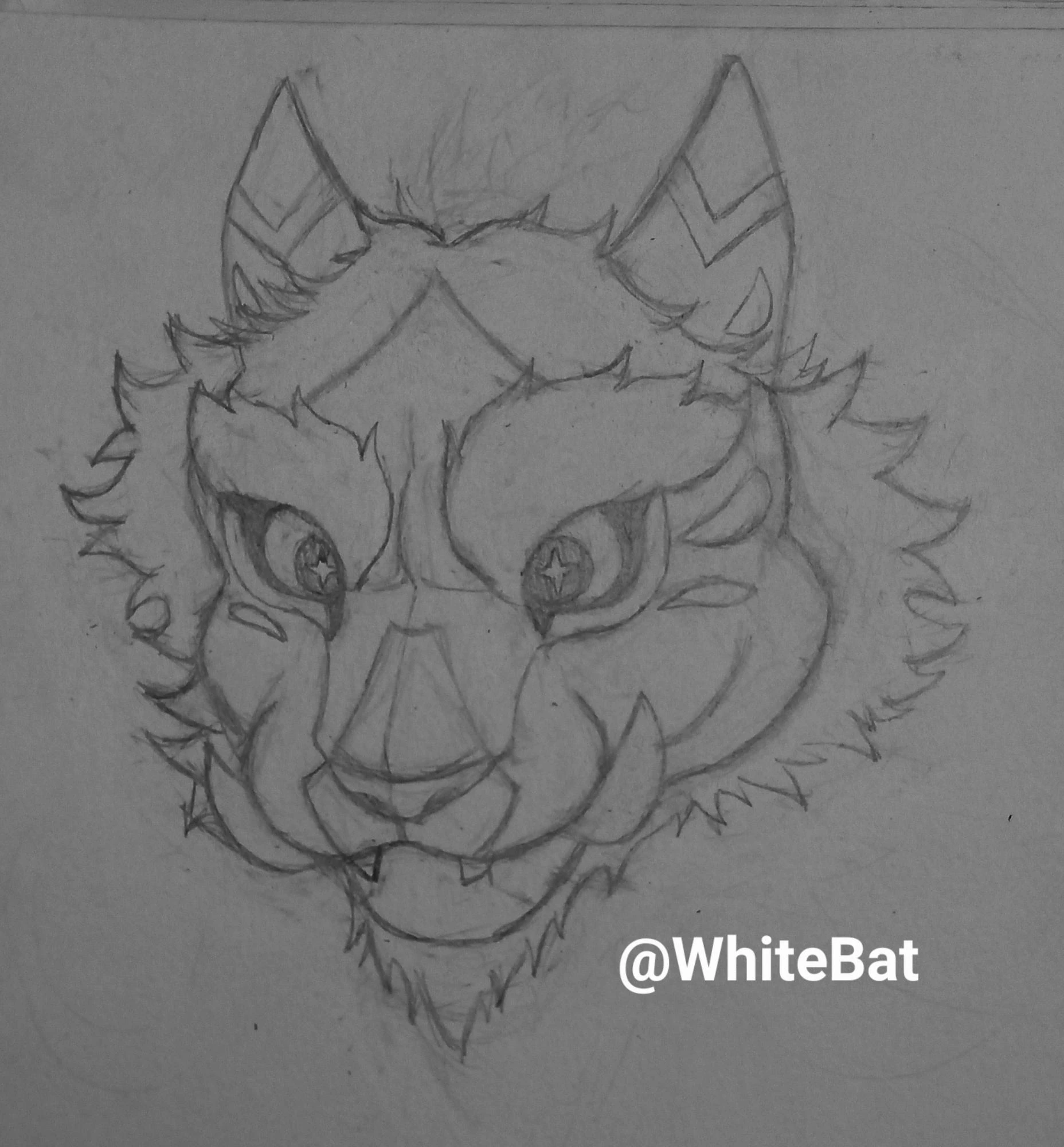 Semi realistic Hongliang | Fandom