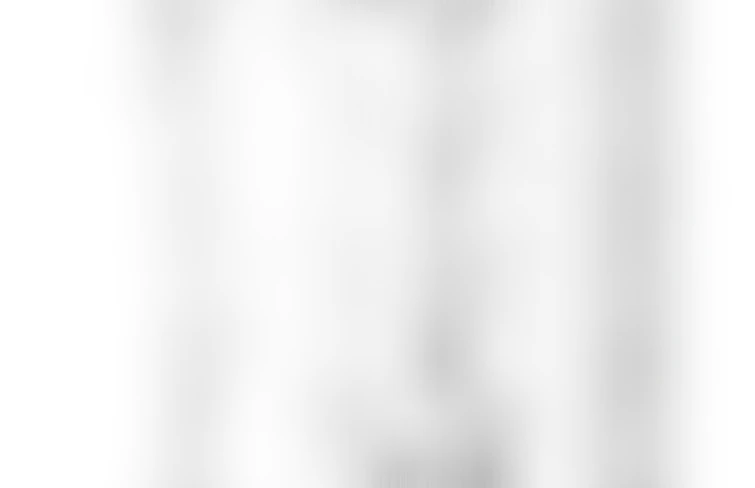 Guess the Phase by it's distorted, inverted and blurred image #2 | Fandom