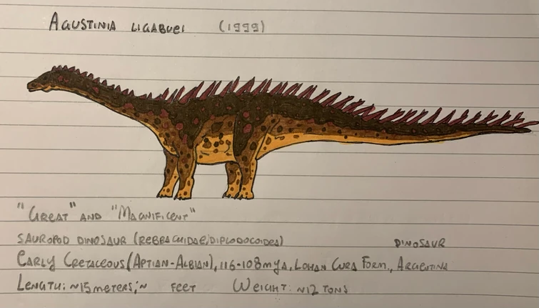 Agustinia Ligabuei paper drawing | Fandom