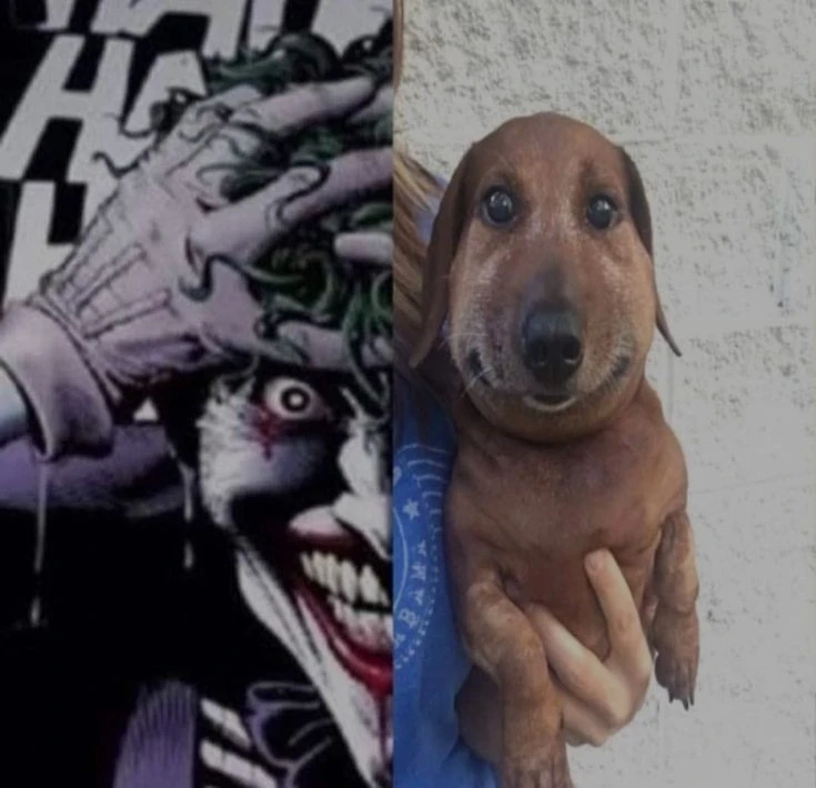 How yall doin | Fandom