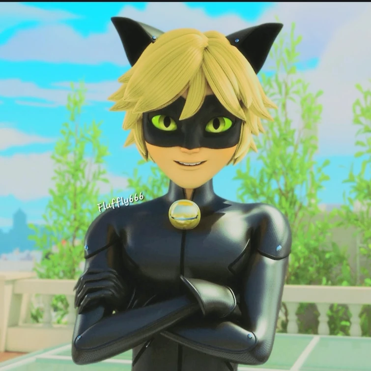 Cat Noir edit ️ ️ | Fandom