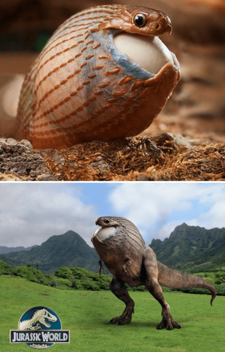 This is my new favorite hybrid | Fandom