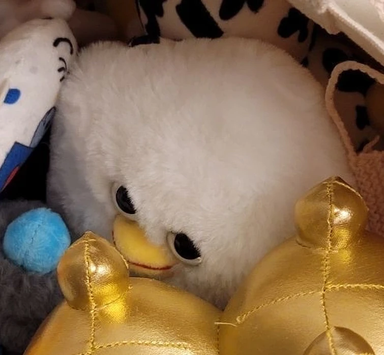 Discuss Everything About ItemLabel Wiki | Fandom