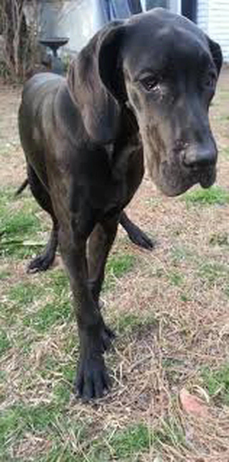 The 20th Doctor | Fandom