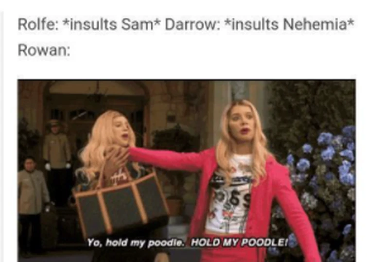 Feysand and Rowaelin Memes! | Fandom