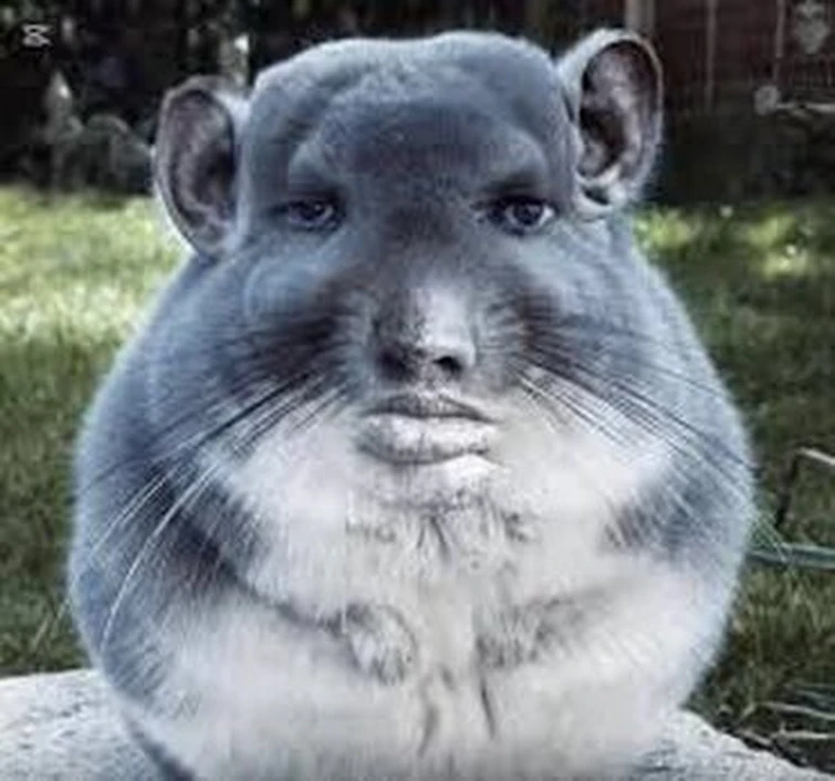 To anyone that says that is retro slop | Fandom