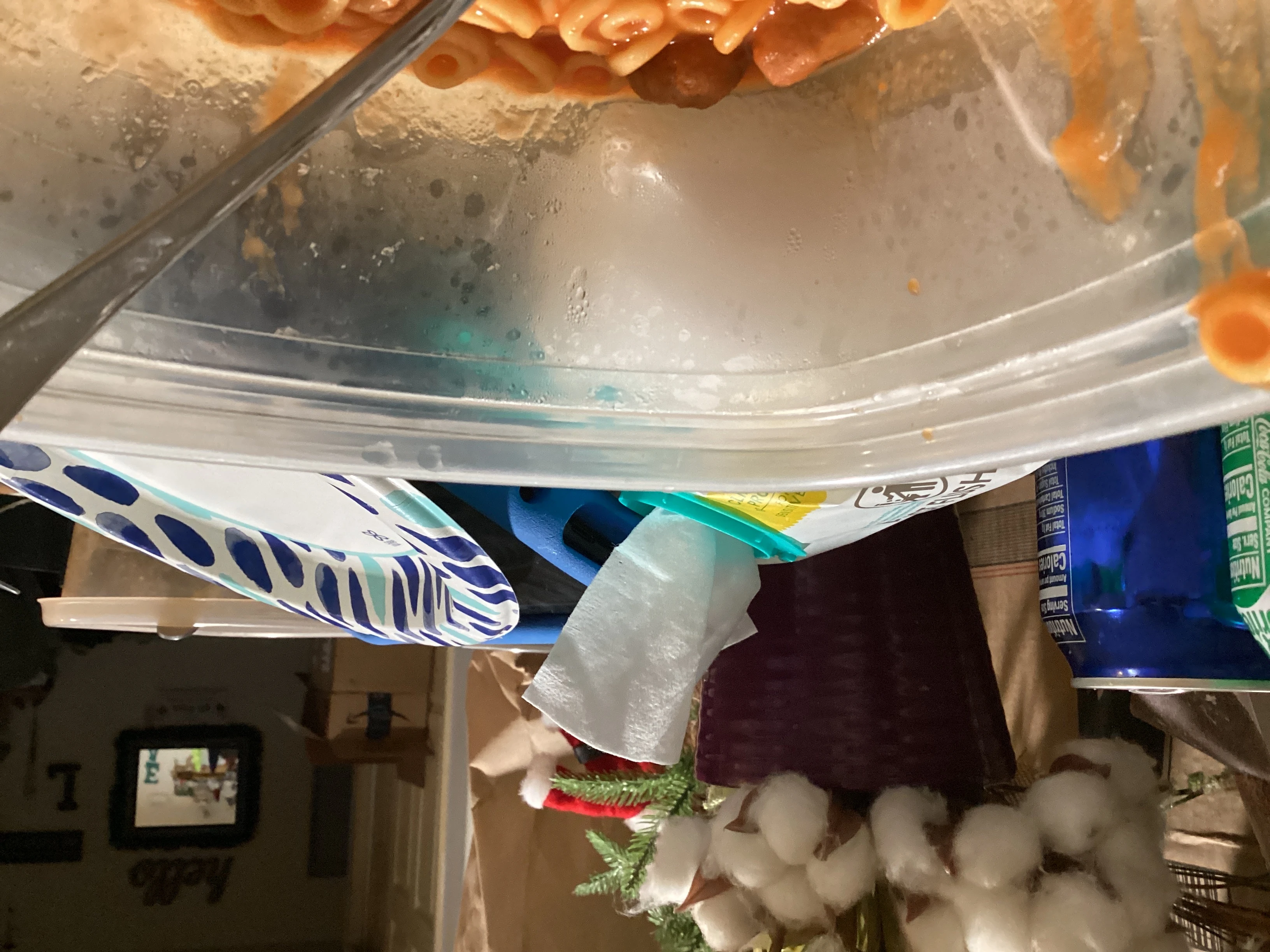 Eating spaghettios at 7AM | Fandom