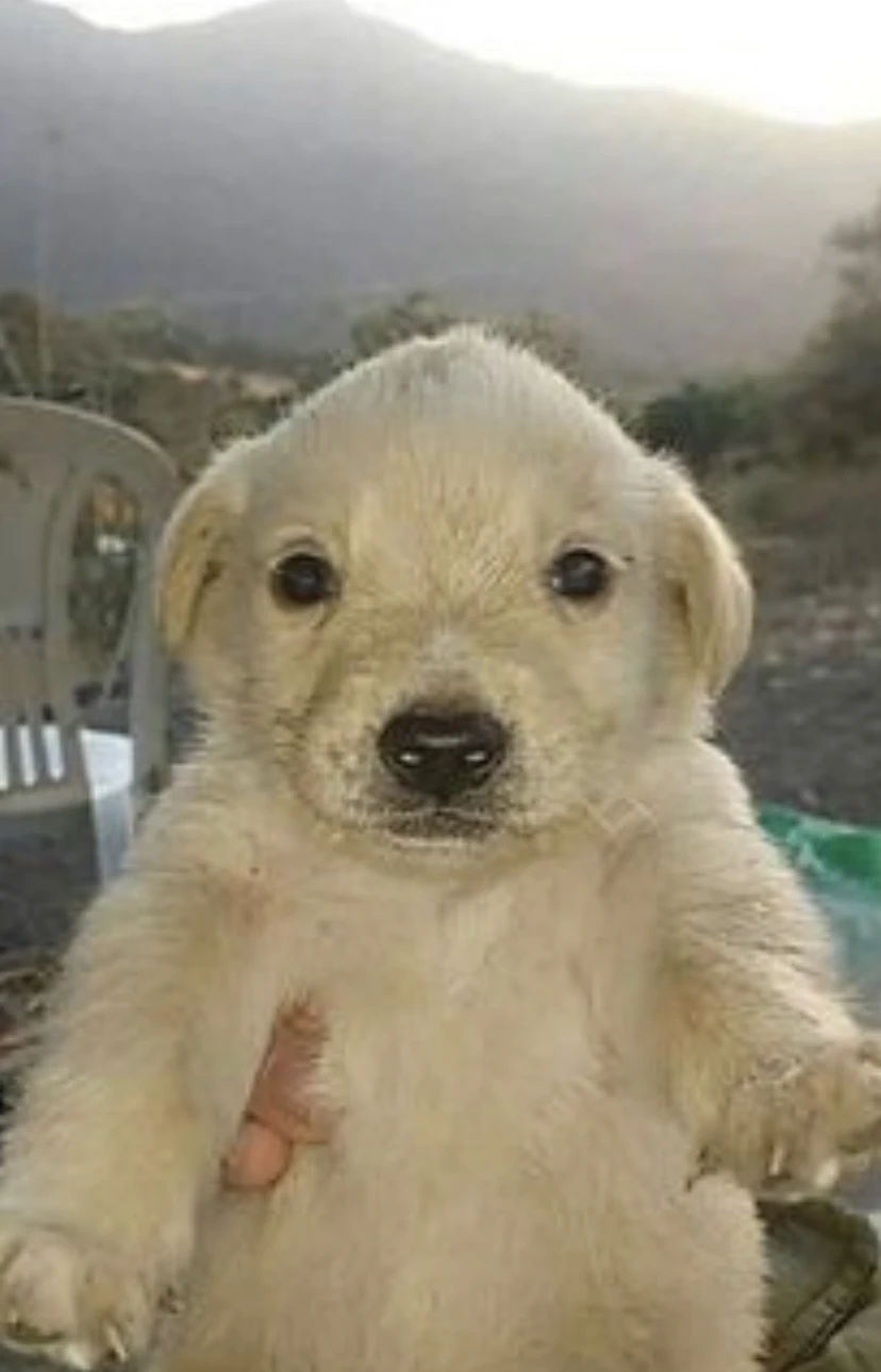 I’m so lonely | Fandom