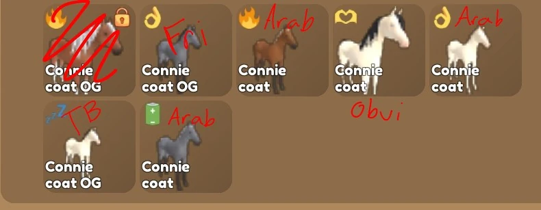 lao on connie coat things | Fandom