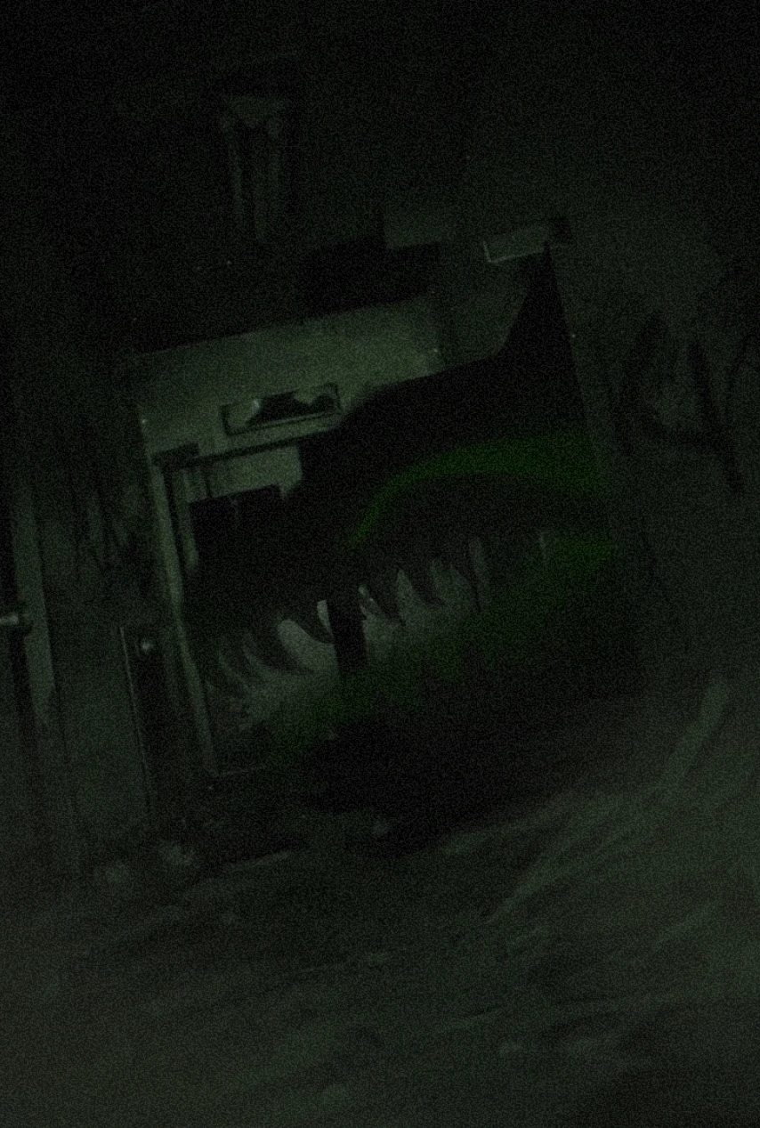 Scientifically accurate Radidon [TW HORROR/GORE/DEATH] | Fandom