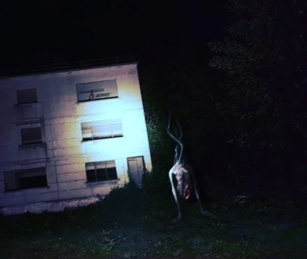 What Name Of This Creature, Answer Please | Fandom