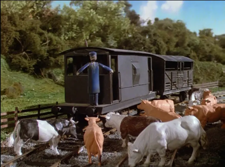 Spot the difference: Cows | Fandom