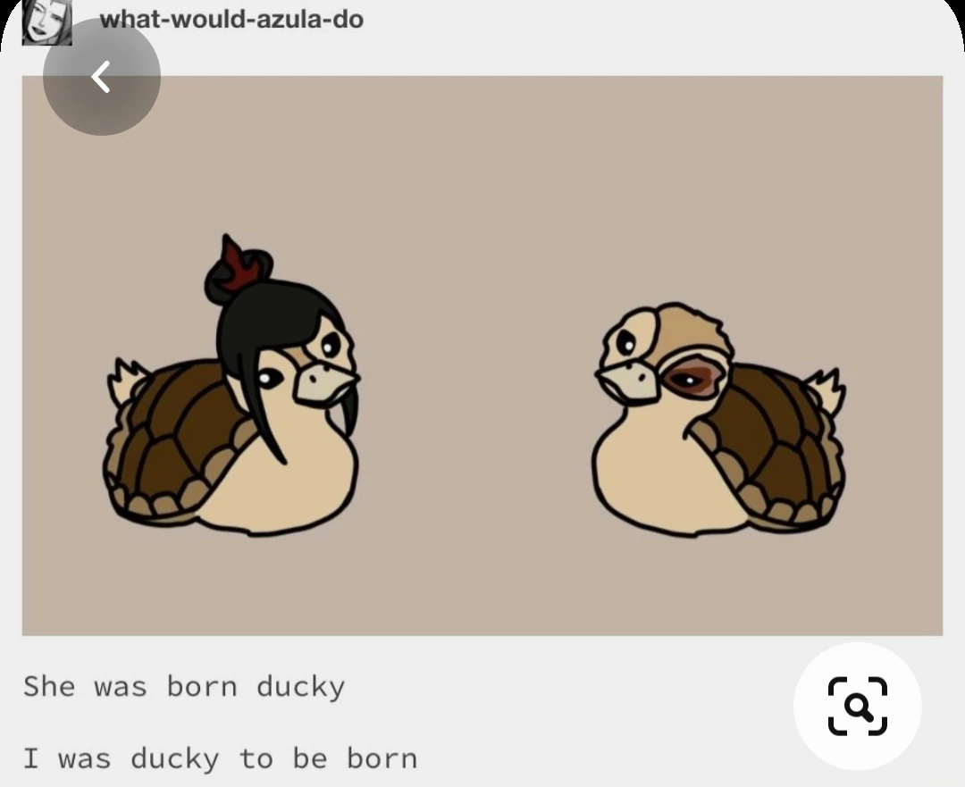 ATLA MEME TIME | Fandom