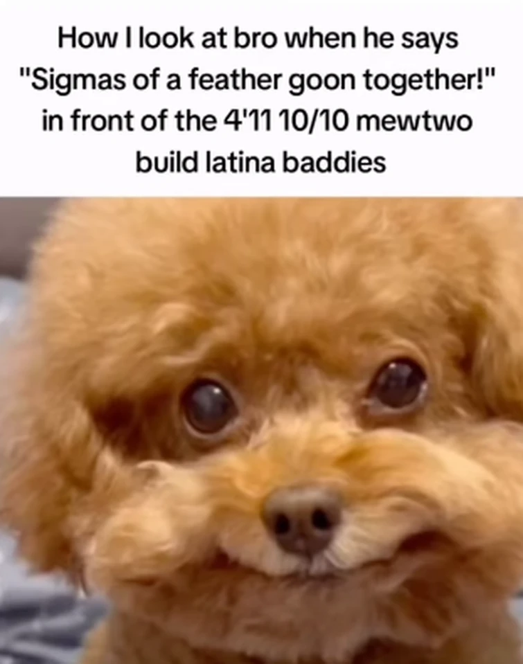 Discuss Everything About Kaijuverse Wiki | Fandom