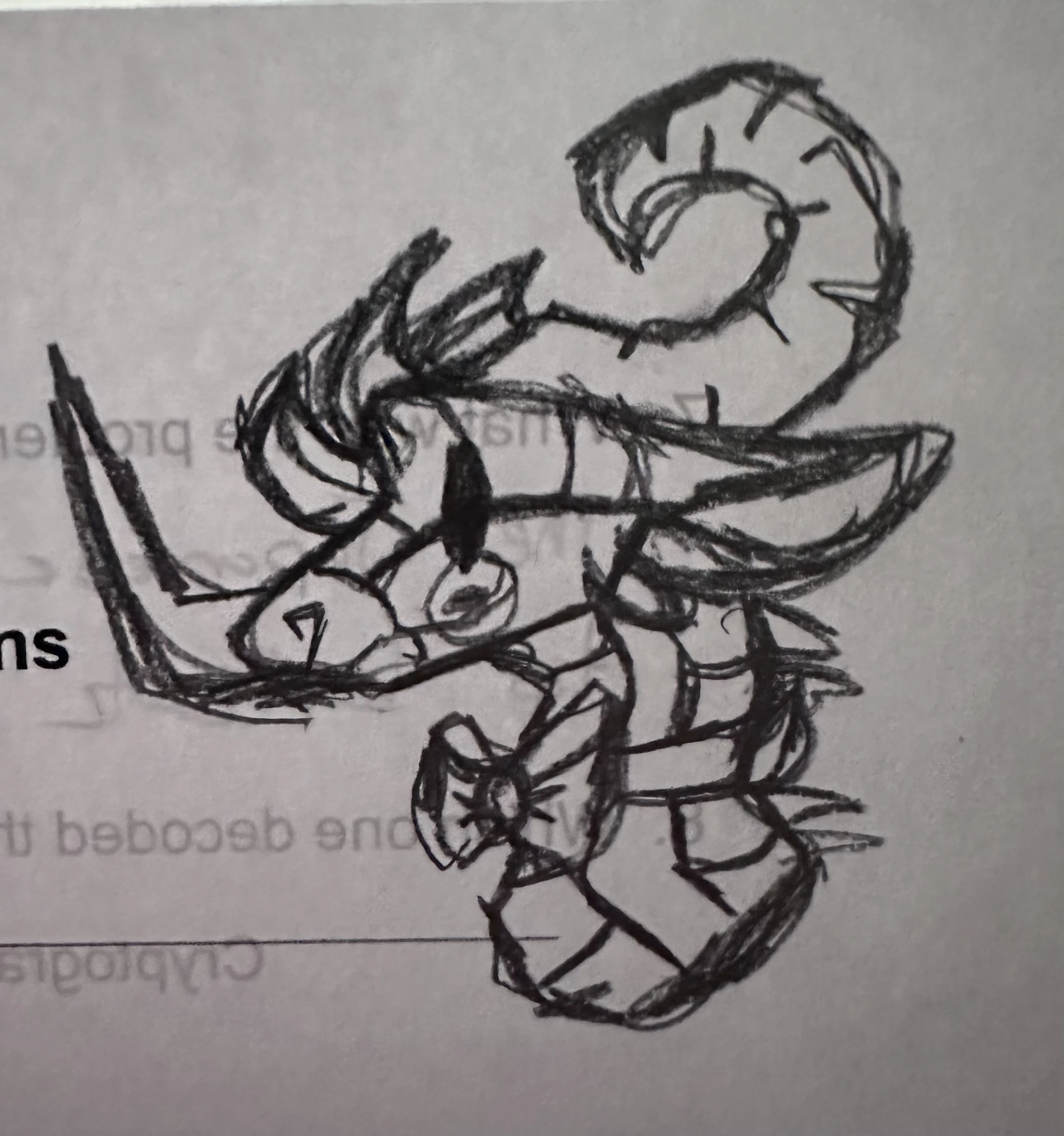 school doodles i forgot i had | Fandom