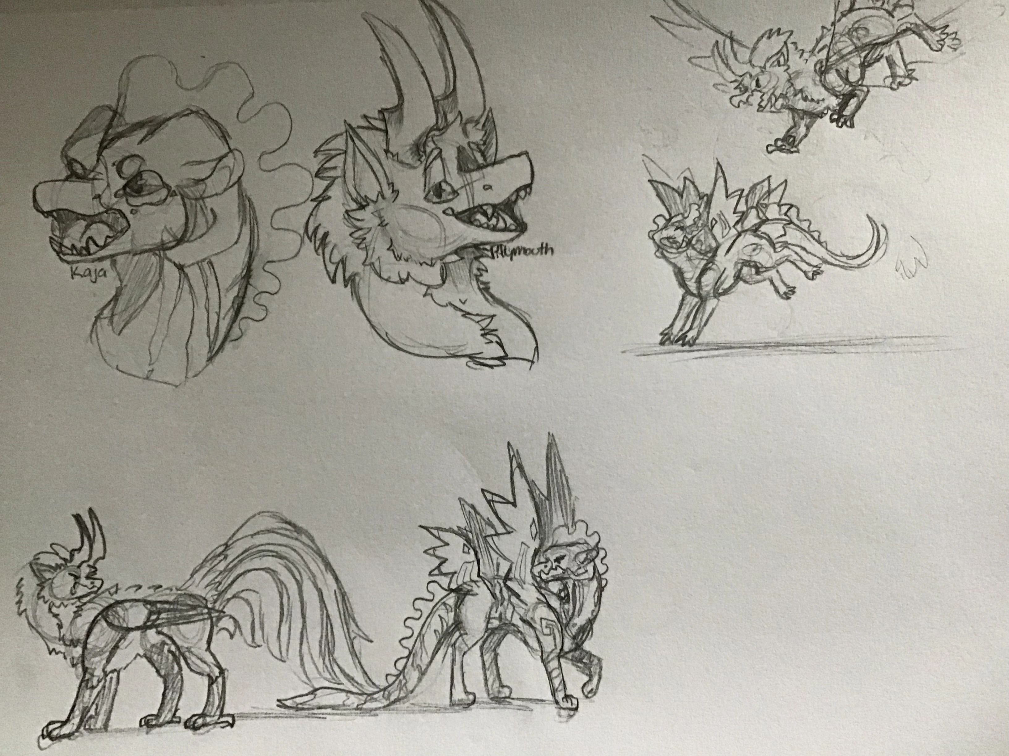 the angy lads | Fandom