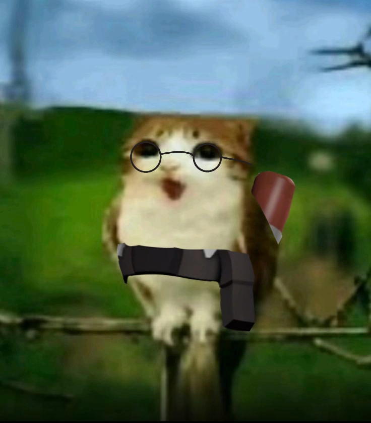 Last chance to get a free meowl pfp!!! | Fandom