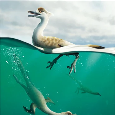 Discuss Everything About Dinopedia | Fandom