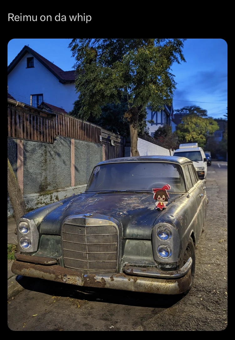 Reimu on da whip | Fandom