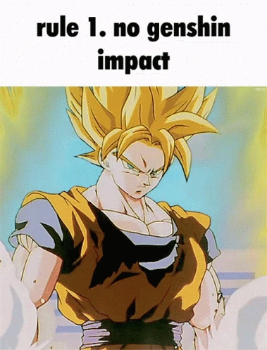 Dragon Ball Z Rules | Fandom