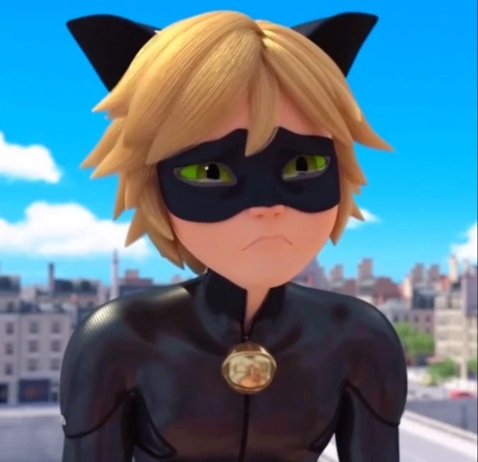 Why is Cat Noir crying and Who made him cry? (Wrong answers only) | Fandom