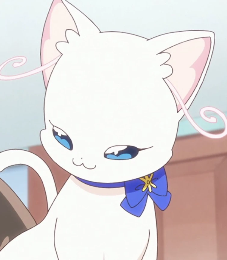 Wonderful PreCure has a cat Precure. So, I explain about Waneko ...