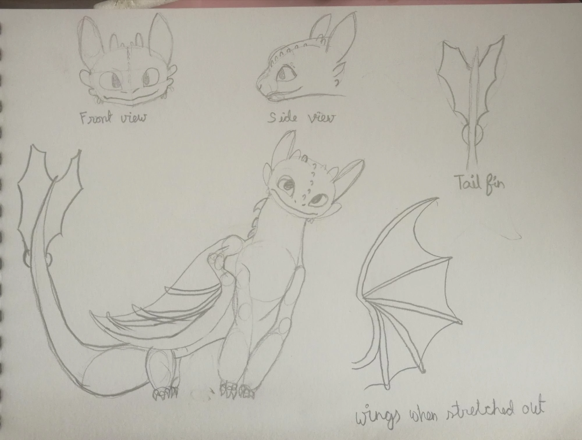 FEMALE NIGHT FURY CONCEPT ART | Fandom