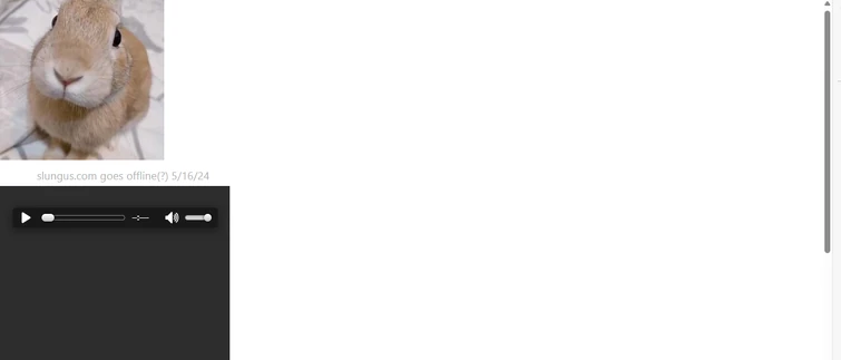 slungus.com??? | Fandom