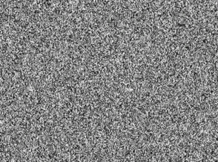 [WE ARE EXPERIENCING TECHNICAL DIFFICULTY] | Fandom