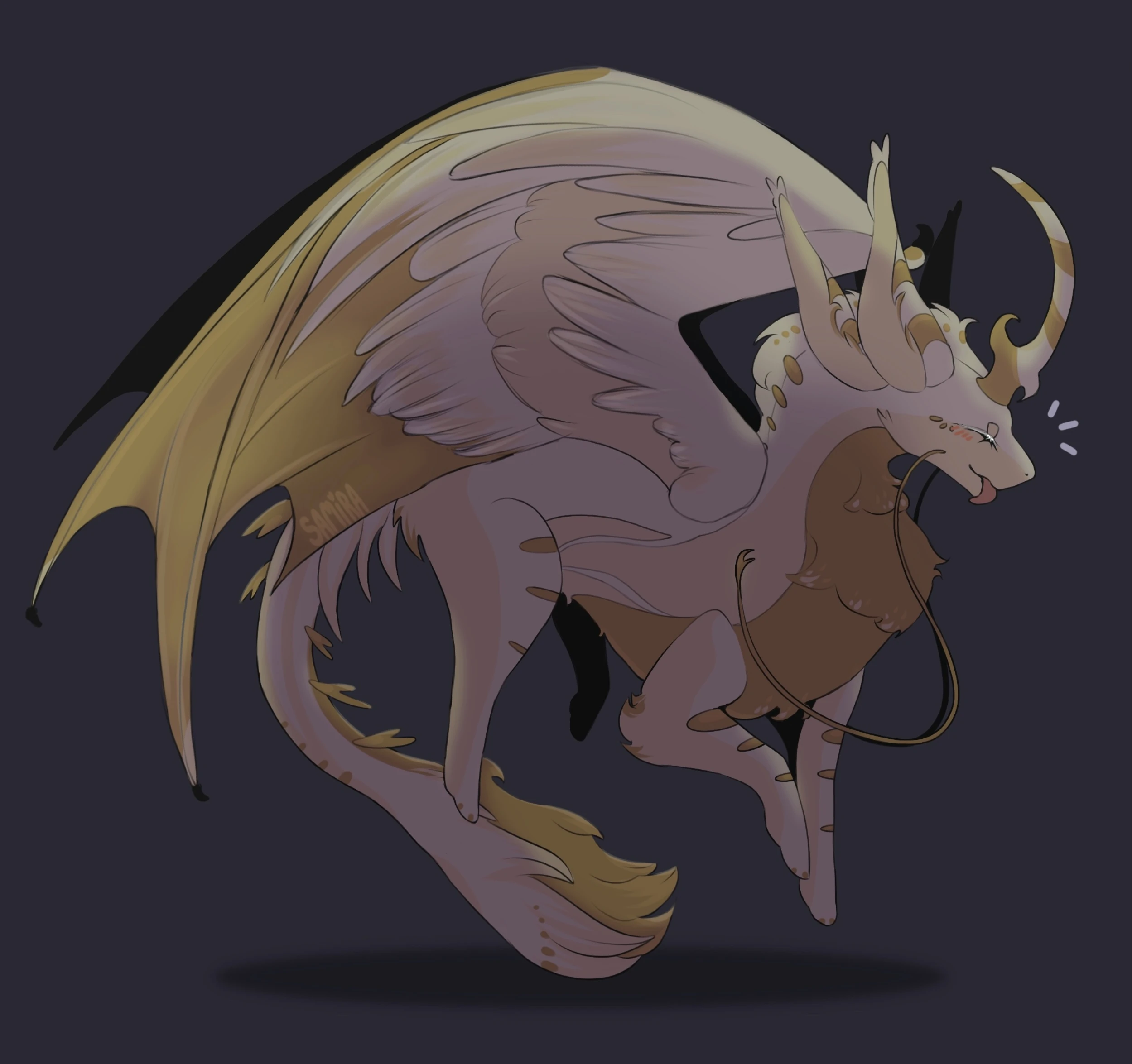 Silly Skyrix | Fandom