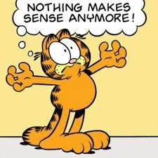 What information do you know about me | Fandom