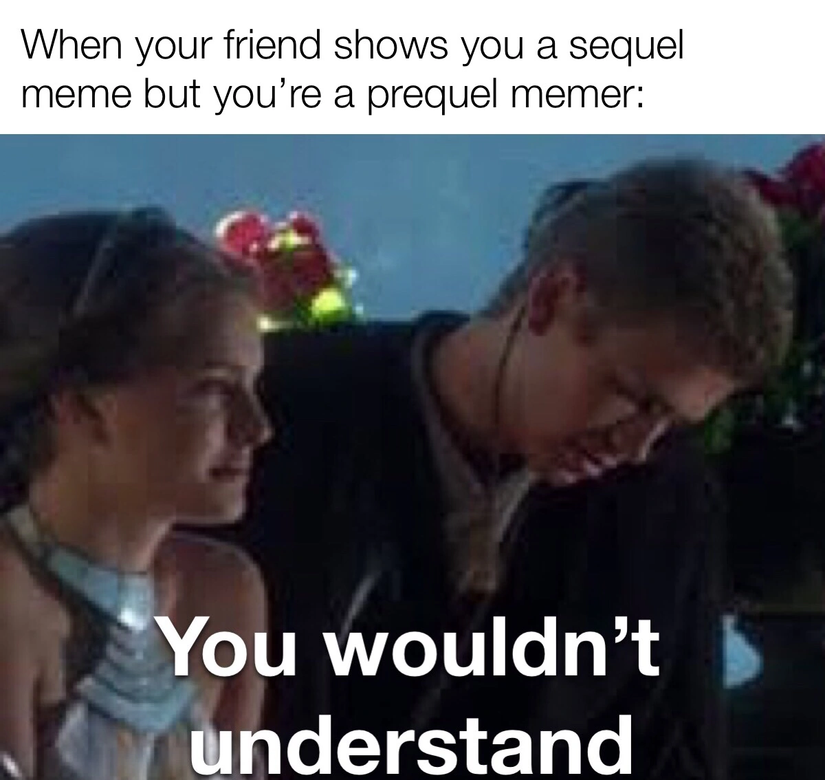 More memes for your enjoyment | Fandom