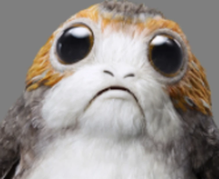 i like porgs | Fandom