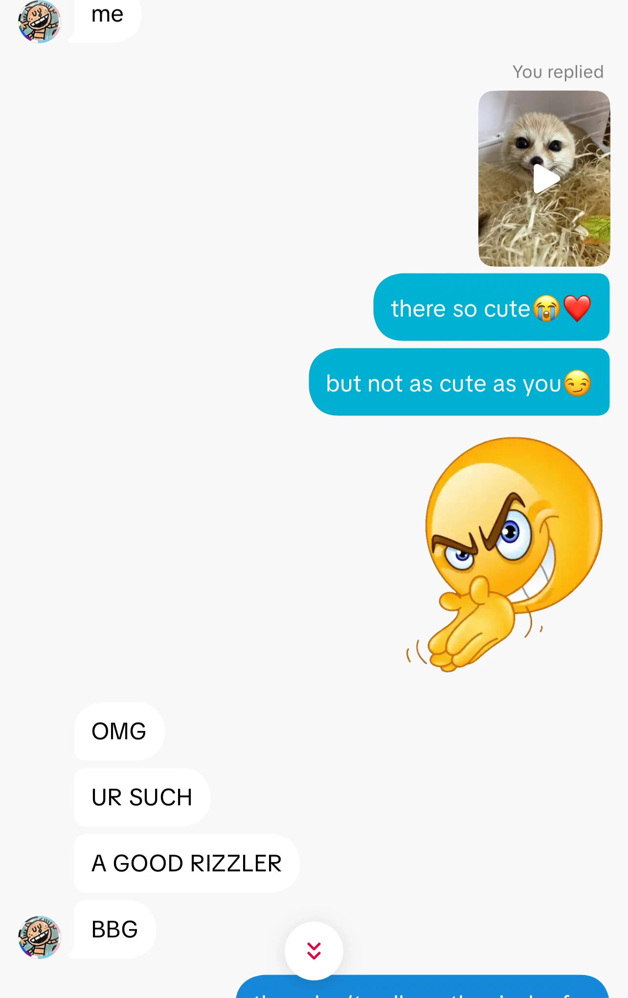 do I have rizz chat | Fandom