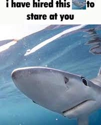 stupid introduction post even though ive already made a few posts 💀 ...