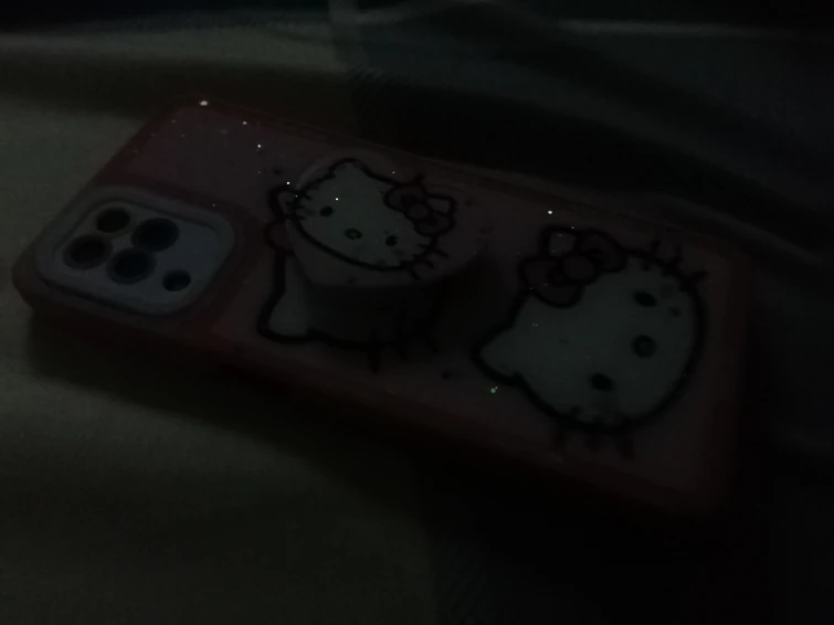 Mephone4's phone case after 4s downgraded himself | Fandom