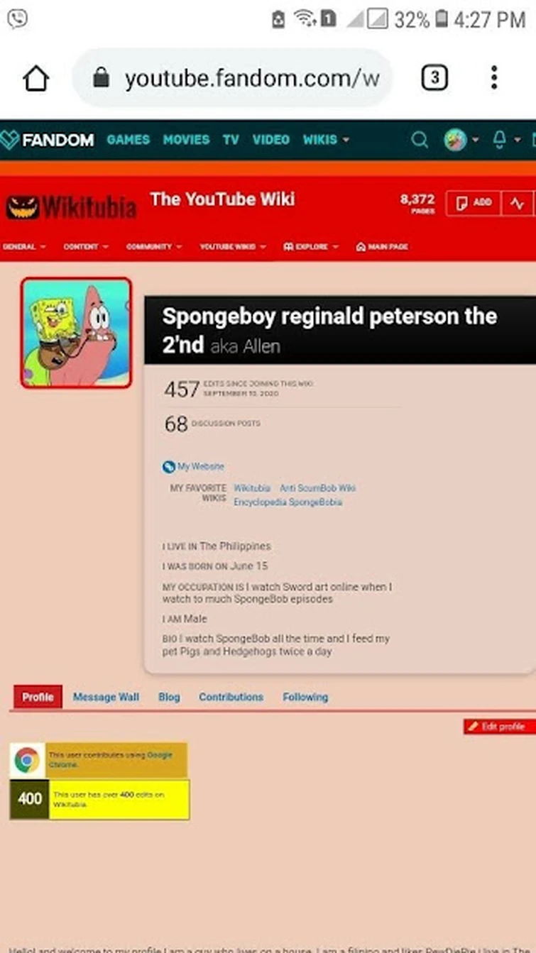 Random Wikitubia Photo from 2020 | Fandom