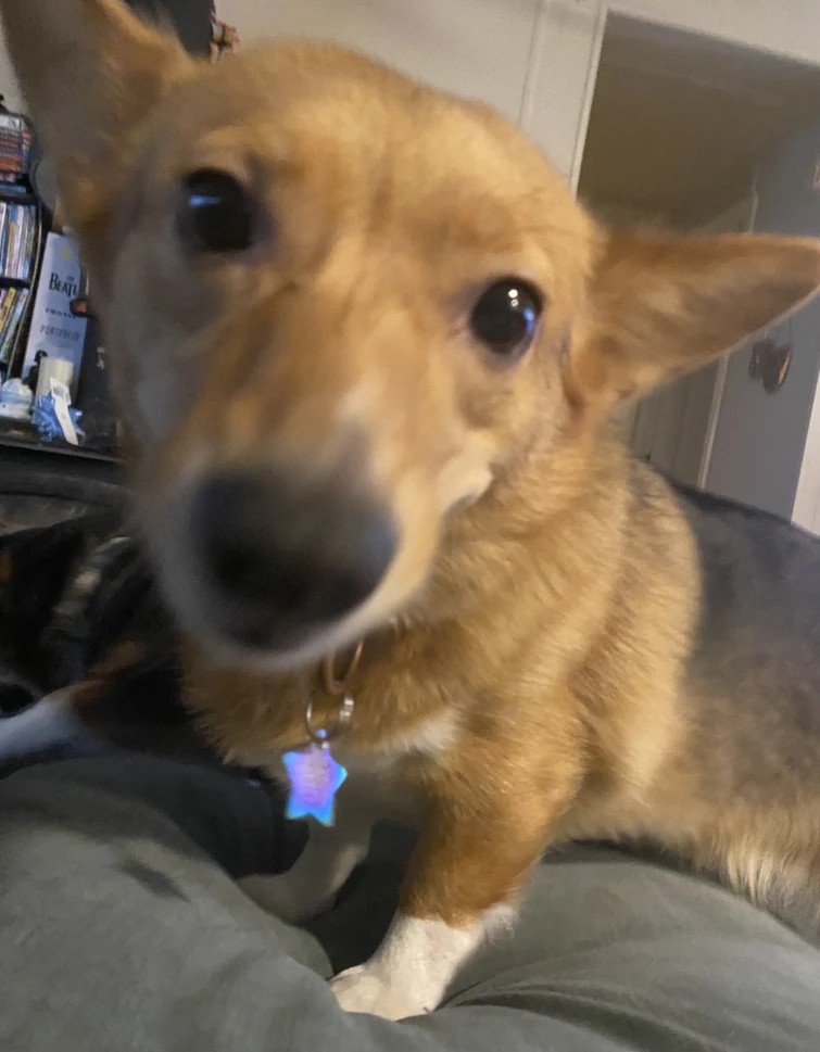 Goodnight :P | Fandom