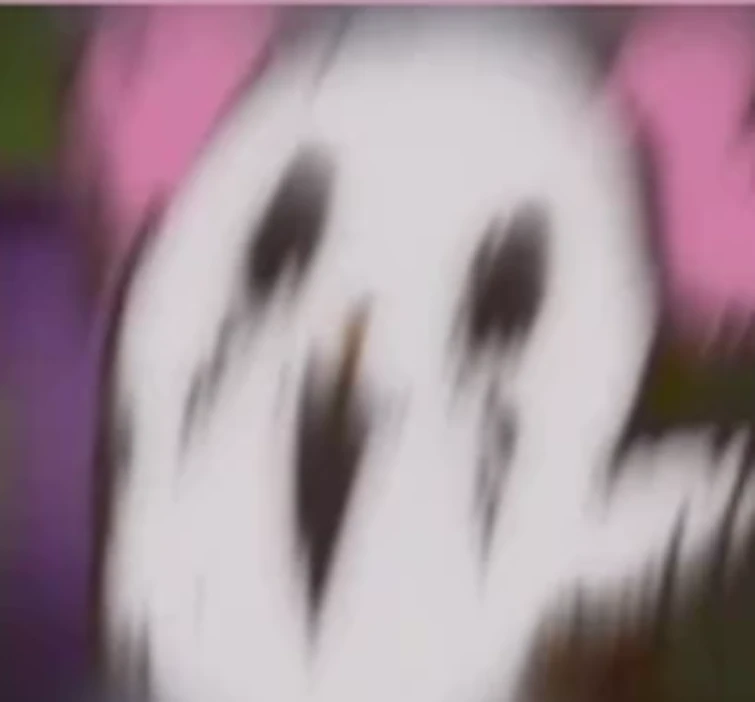 Random Cure Collages (Day 6 of 77) | Fandom