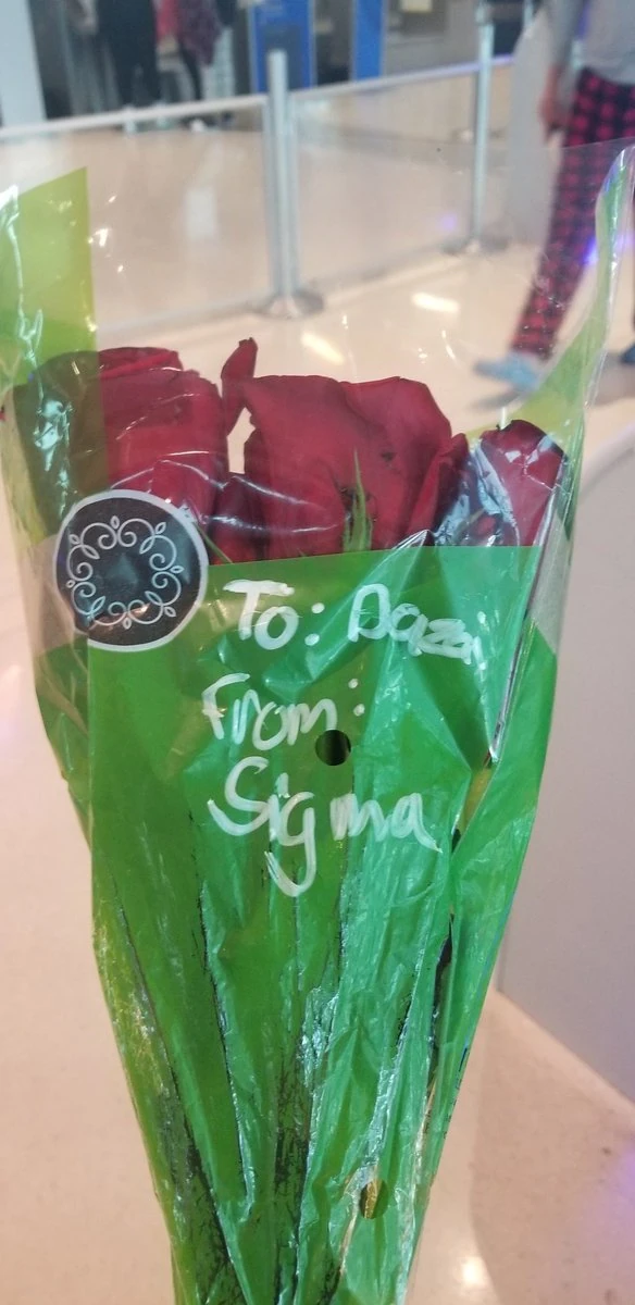 Tbh sigzai has been growing into me | Fandom