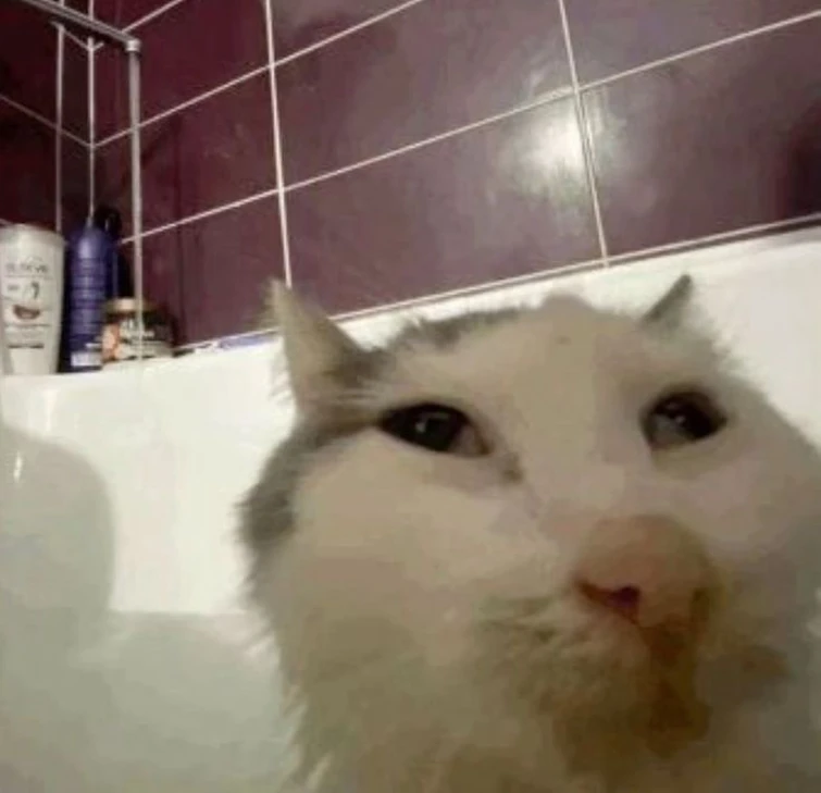 Discuss Everything About Creatures of Sonaria Wiki | Fandom